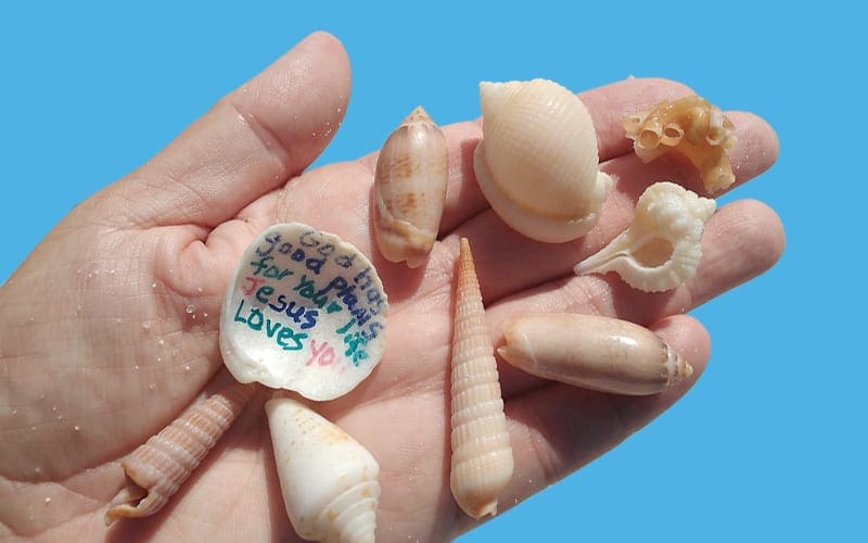 Collector finds ‘God’ shell, happy to be alive | Navarre Press
