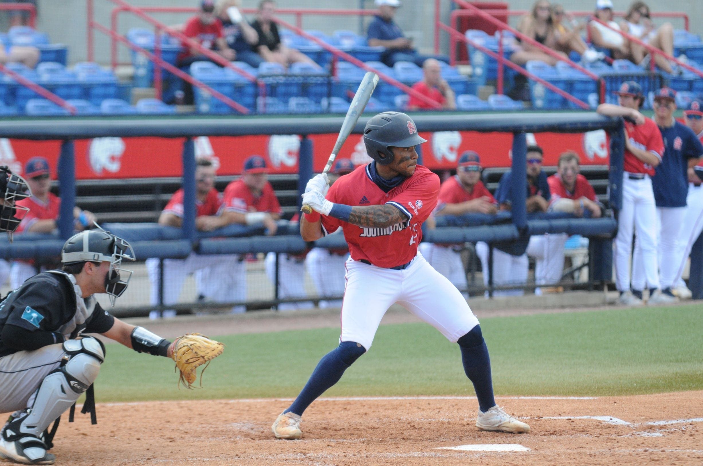 Spotlight on Michael Sandle: Navarre alum chasing MLB dream | Navarre Press