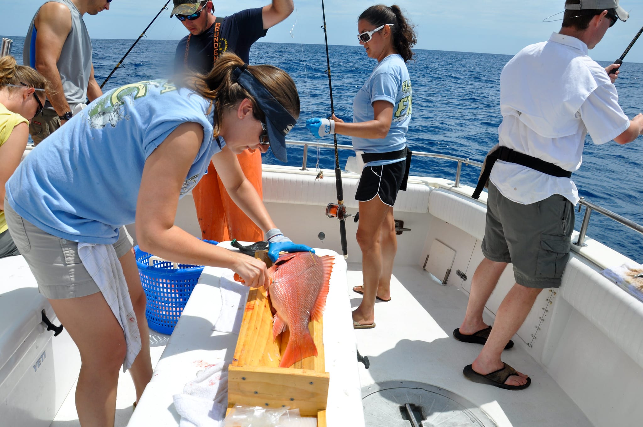 It's time for red snapper season | Navarre Press