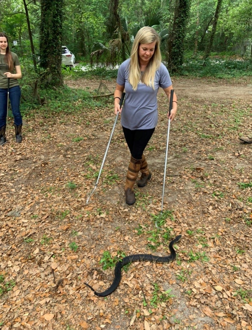 ‘Florida Snake Lady’ addresses recent arrest | Navarre Press