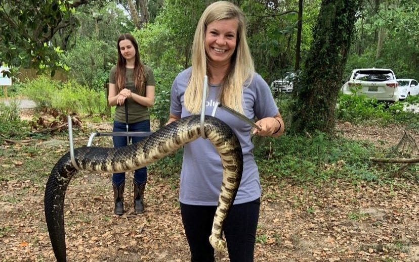 CORRECTED: 'Florida Snake Lady' warned for releasing venomous snakes on ...