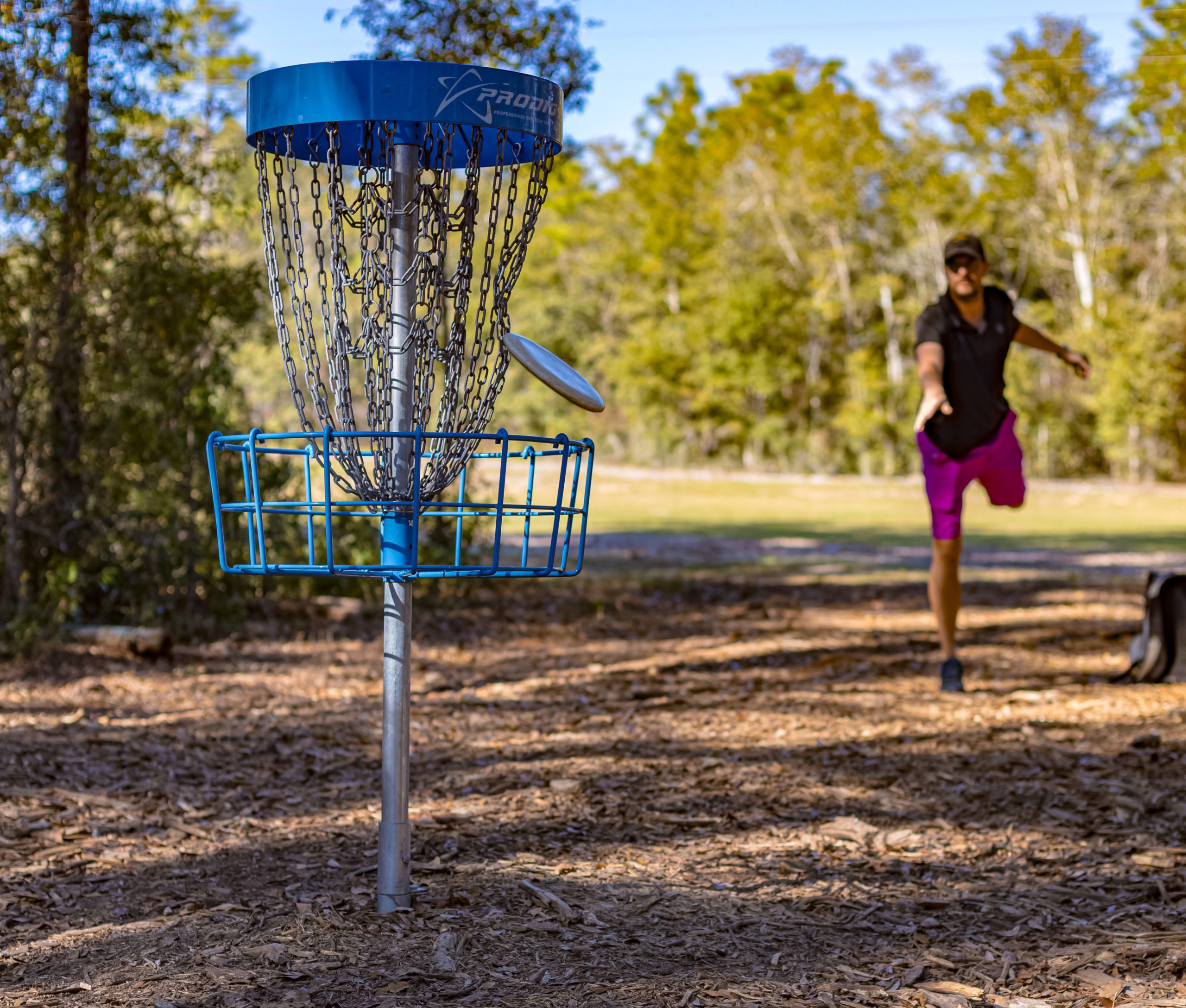 New disc golf course open seven days a week in Milton | Navarre Press