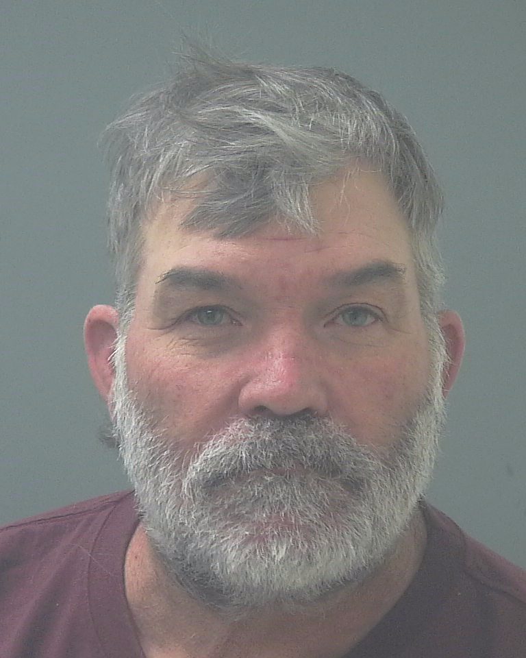 Livestock officer charged with killing stray mule | Navarre Press