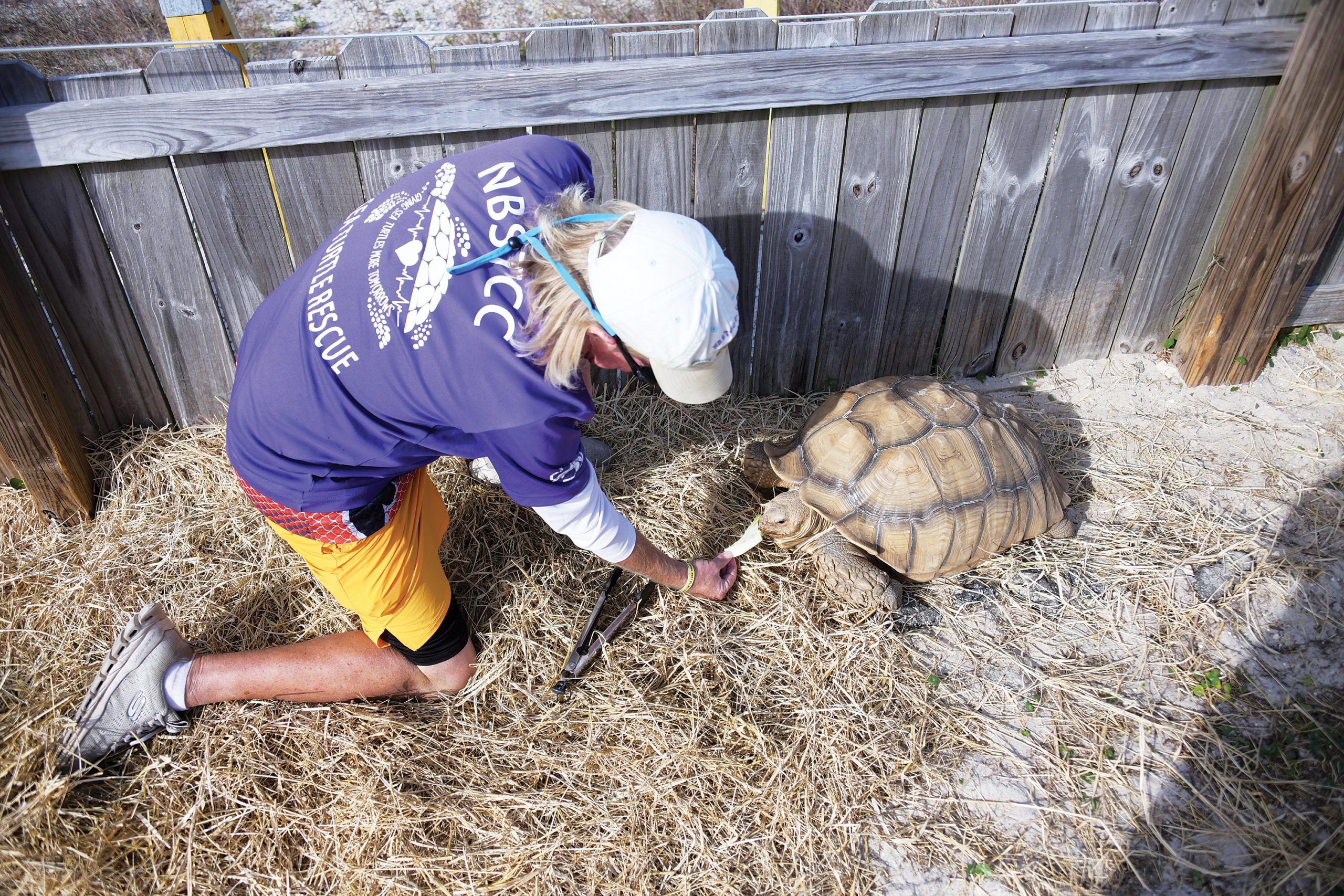 Sea Turtle Conservation Center programs enriching for animals, people ...