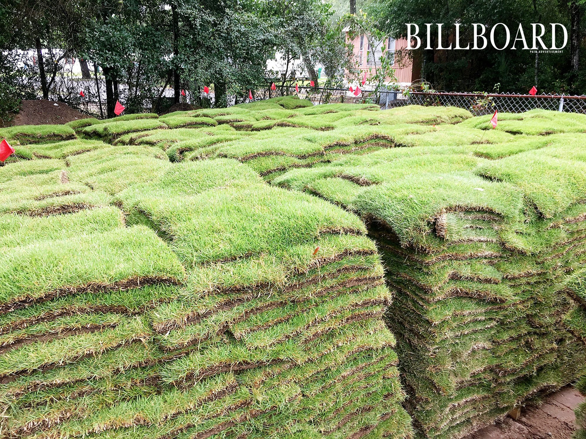 local-lawn-company-offering-free-sod-giveaway-navarre-press