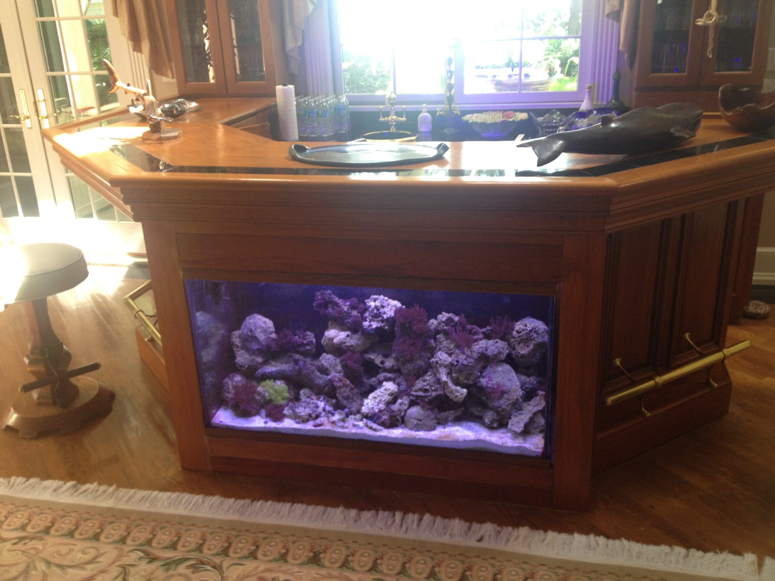 Aquatic design group designing pools for turtle center | Navarre Press