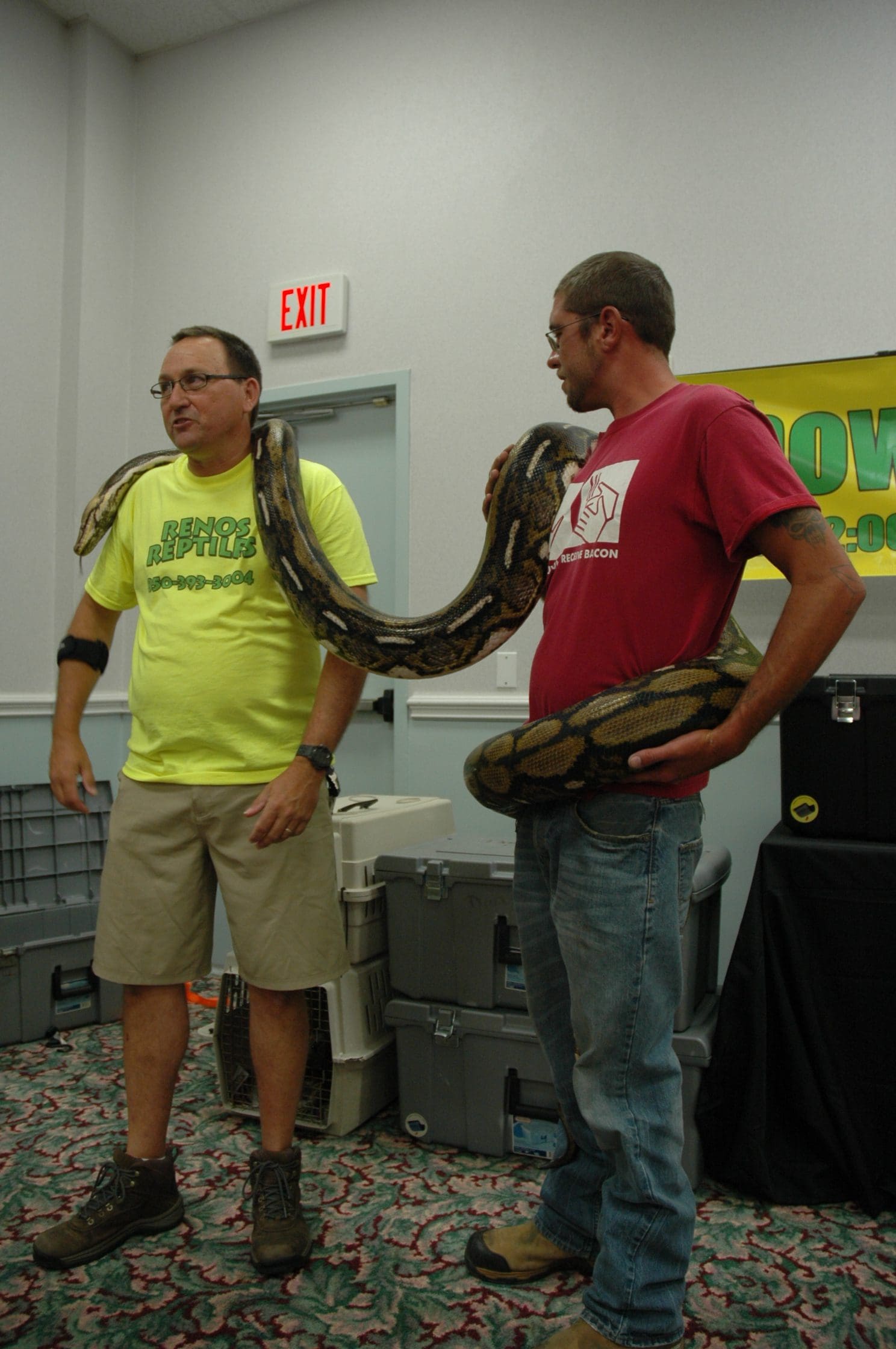 Repticon show unites breeders, owners and educators | Navarre Press