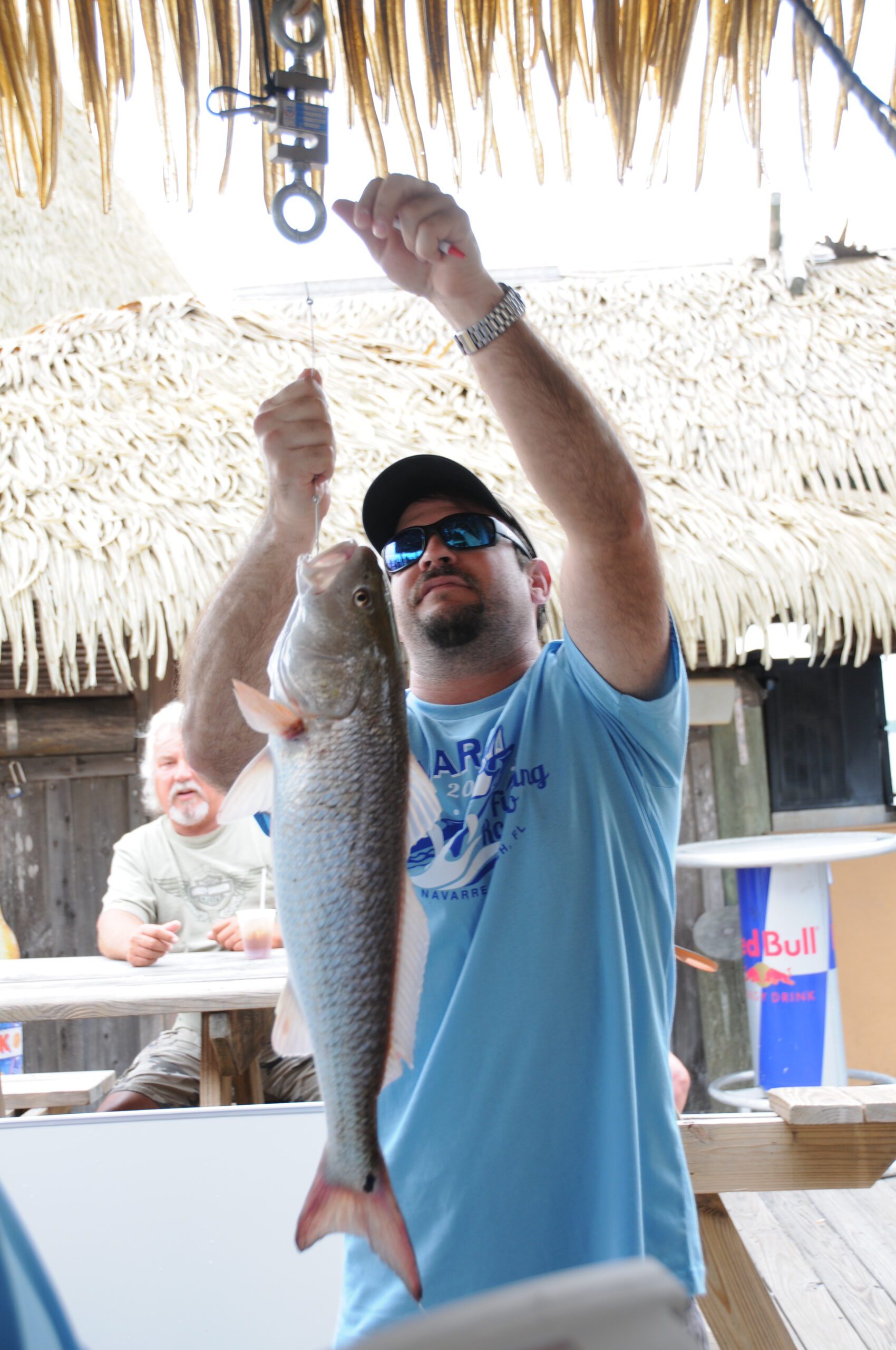 Participate in the Gulf Reef Fish Survey | Navarre Press