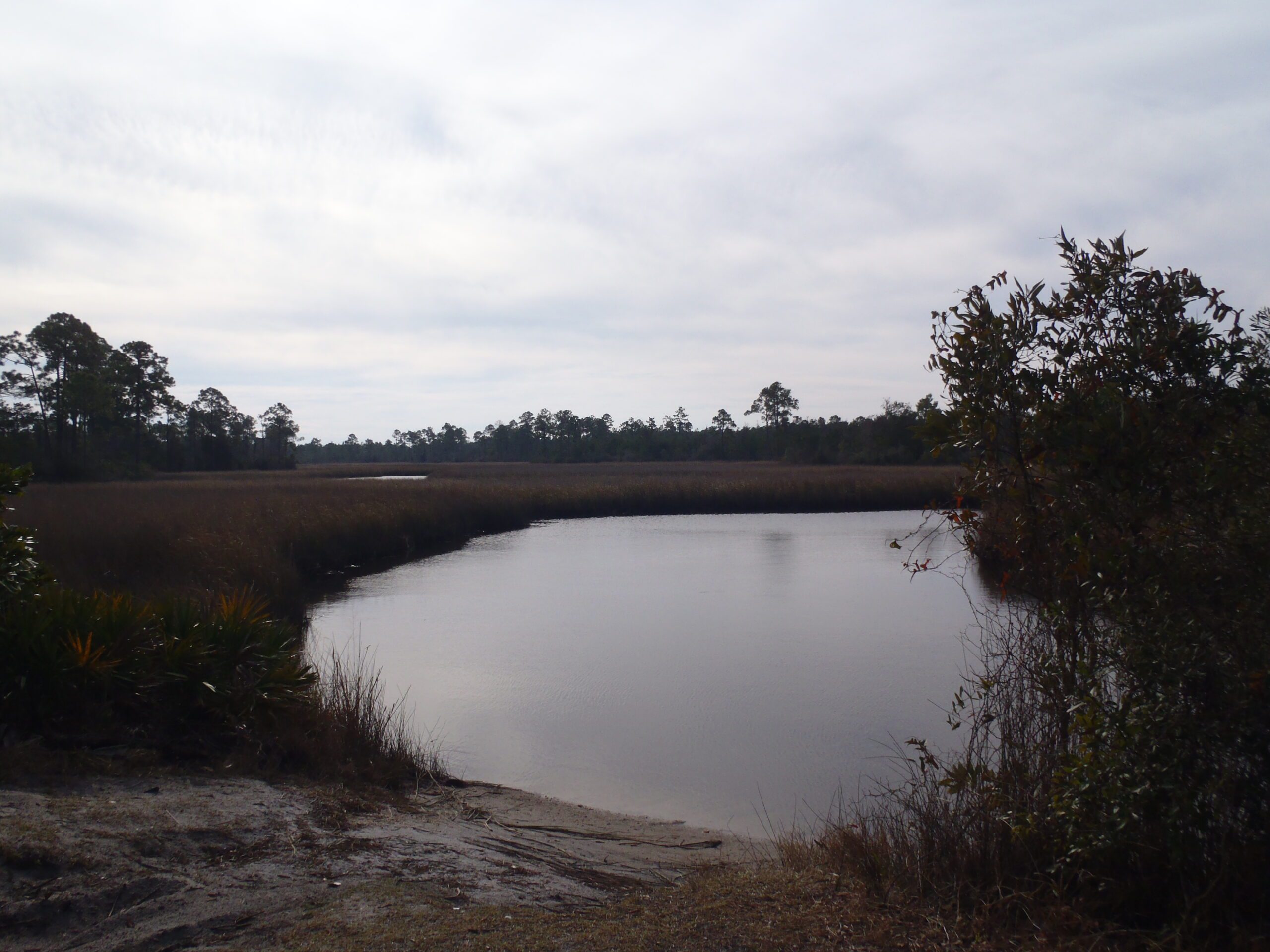 FWC establishes new hunting area at Escribano Point | Navarre Press
