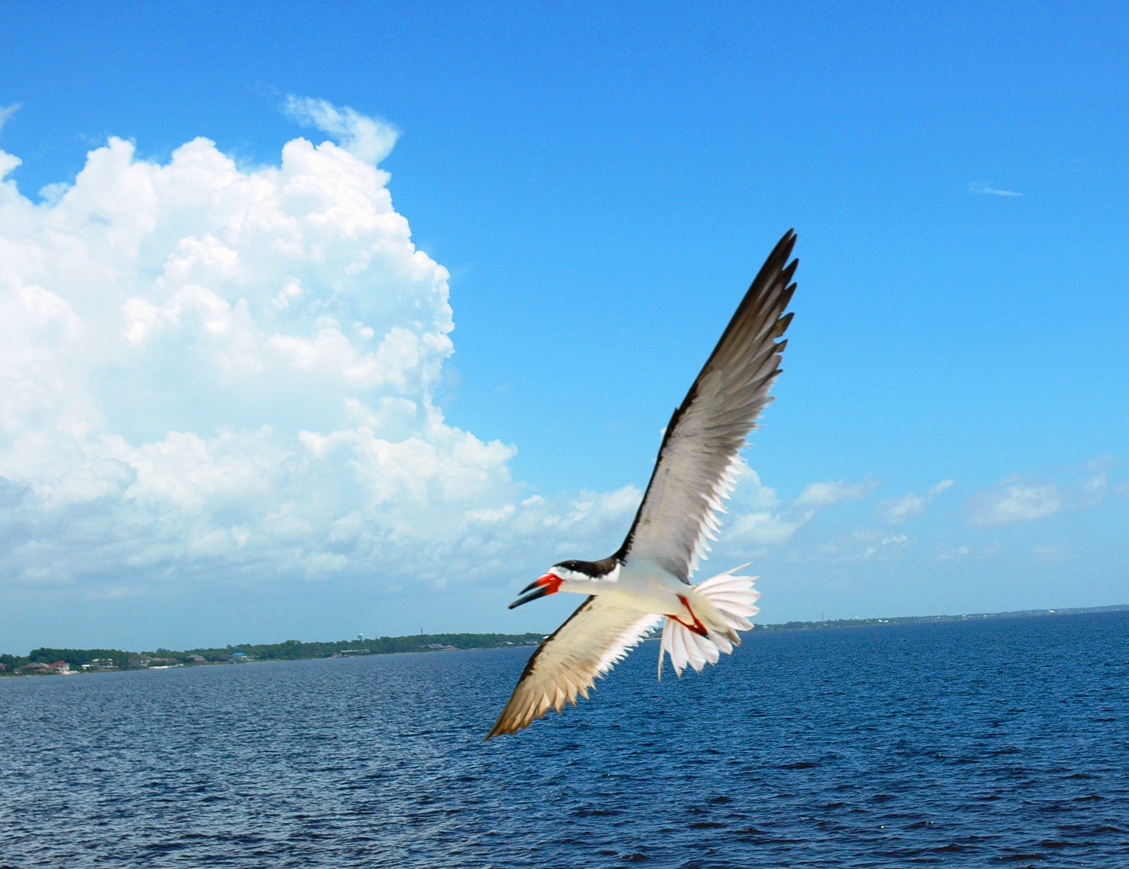 $1.5 million headed to Escribano Point | Navarre Press