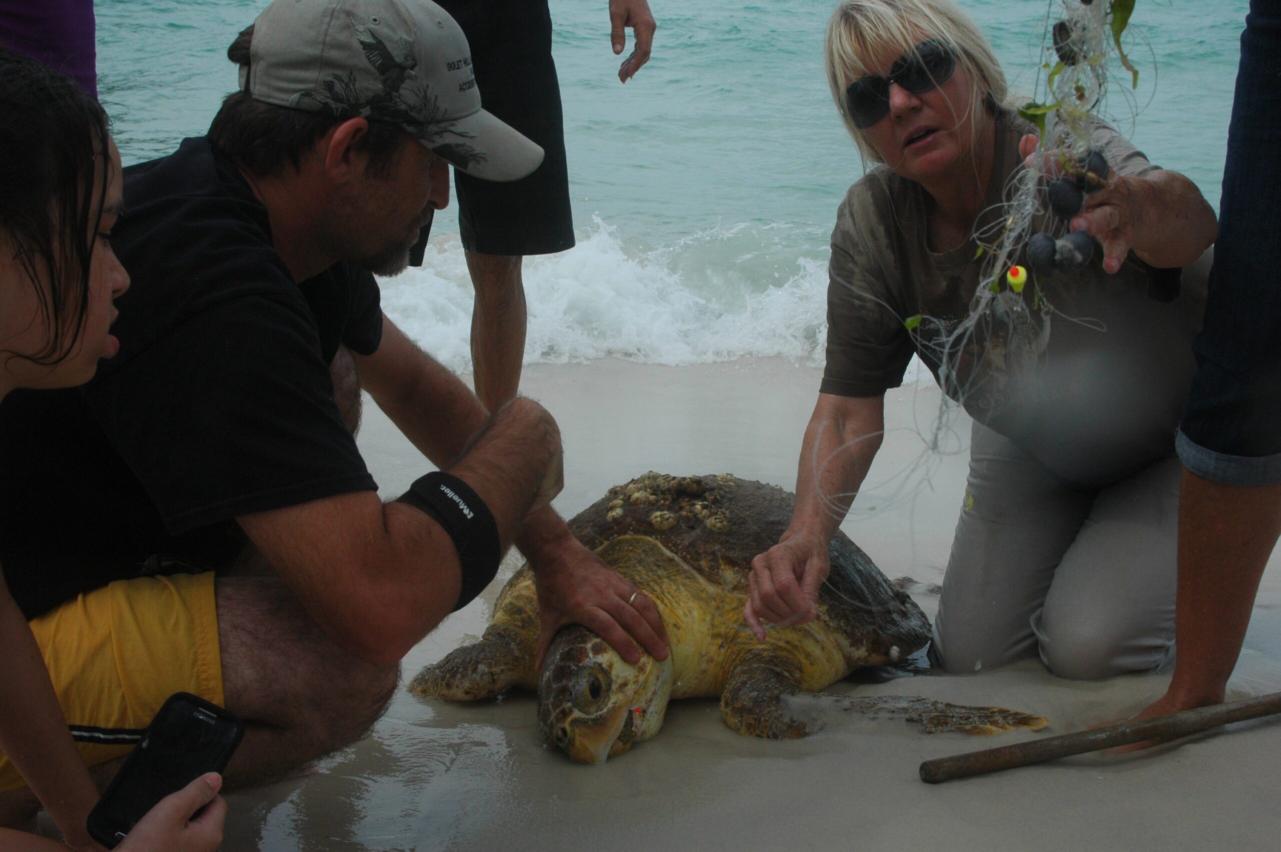 Sea turtle training pays off | Navarre Press