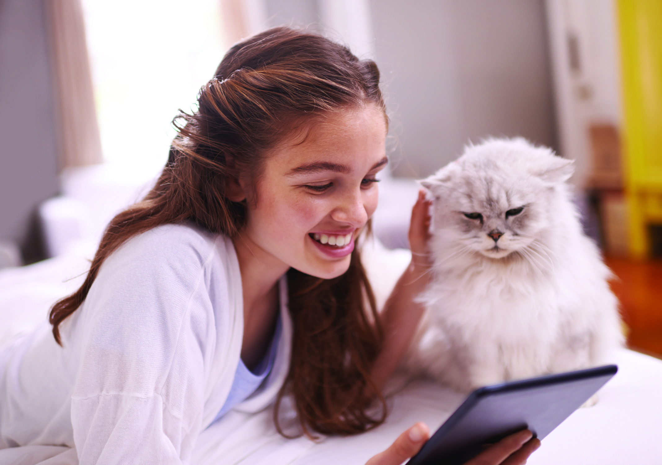 Purr-fect tips to protect cats year-round | Navarre Press