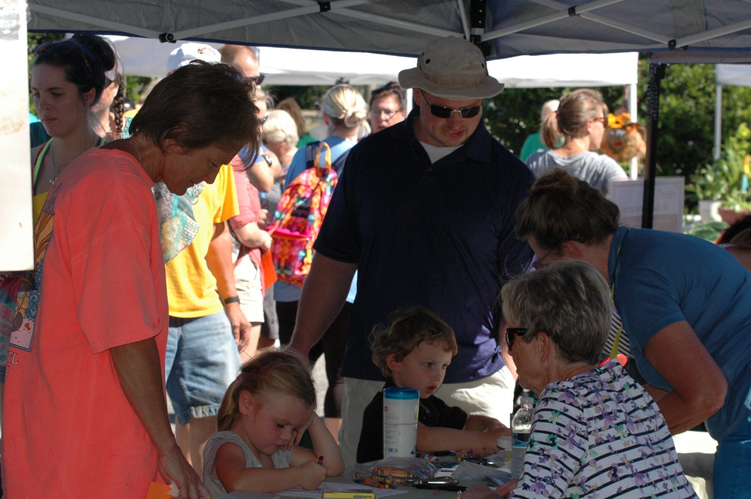 Monarch Madness highlights end of year for butterfly house | Navarre Press