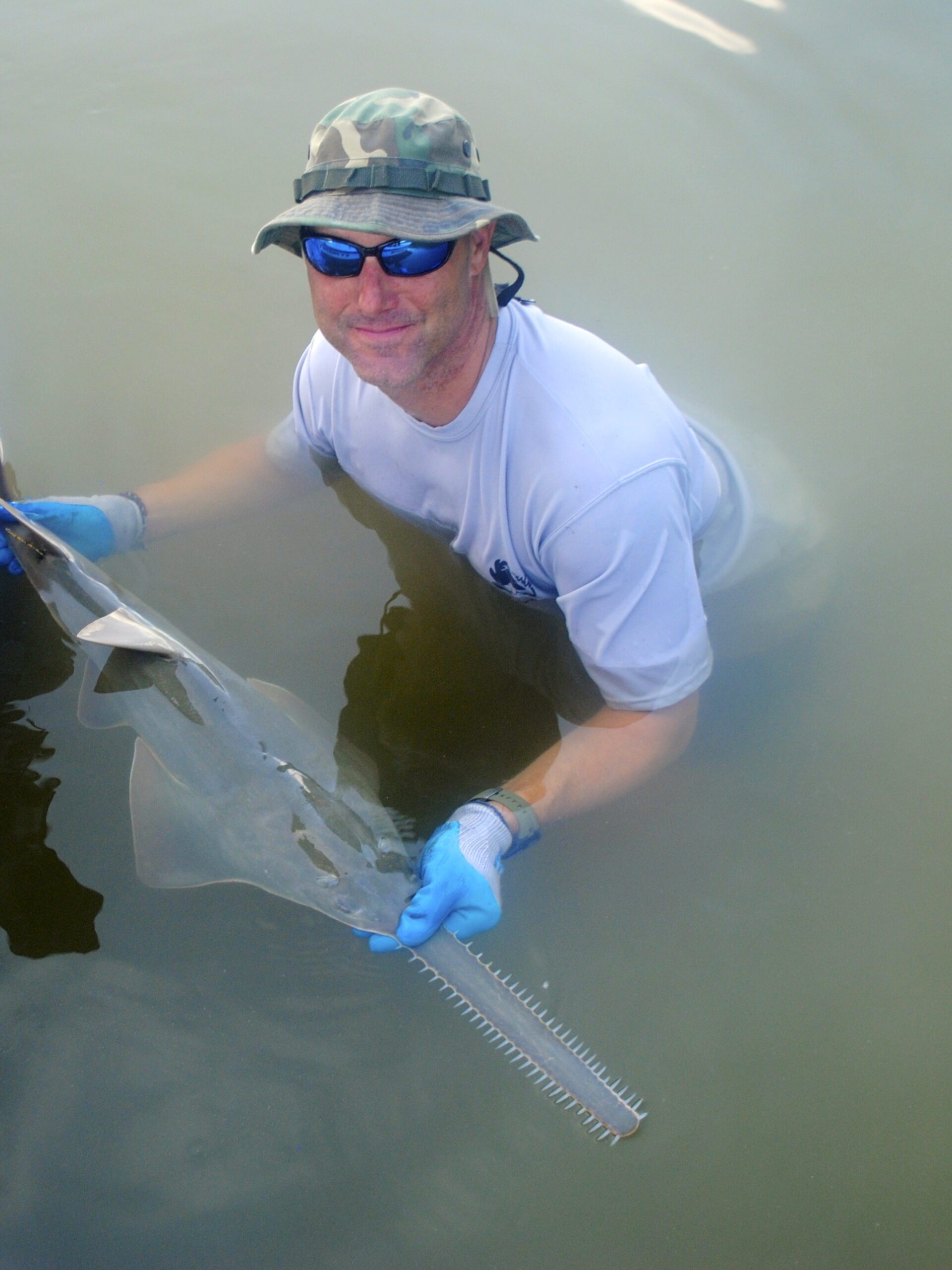 Inside the life of a shark researcher | Navarre Press