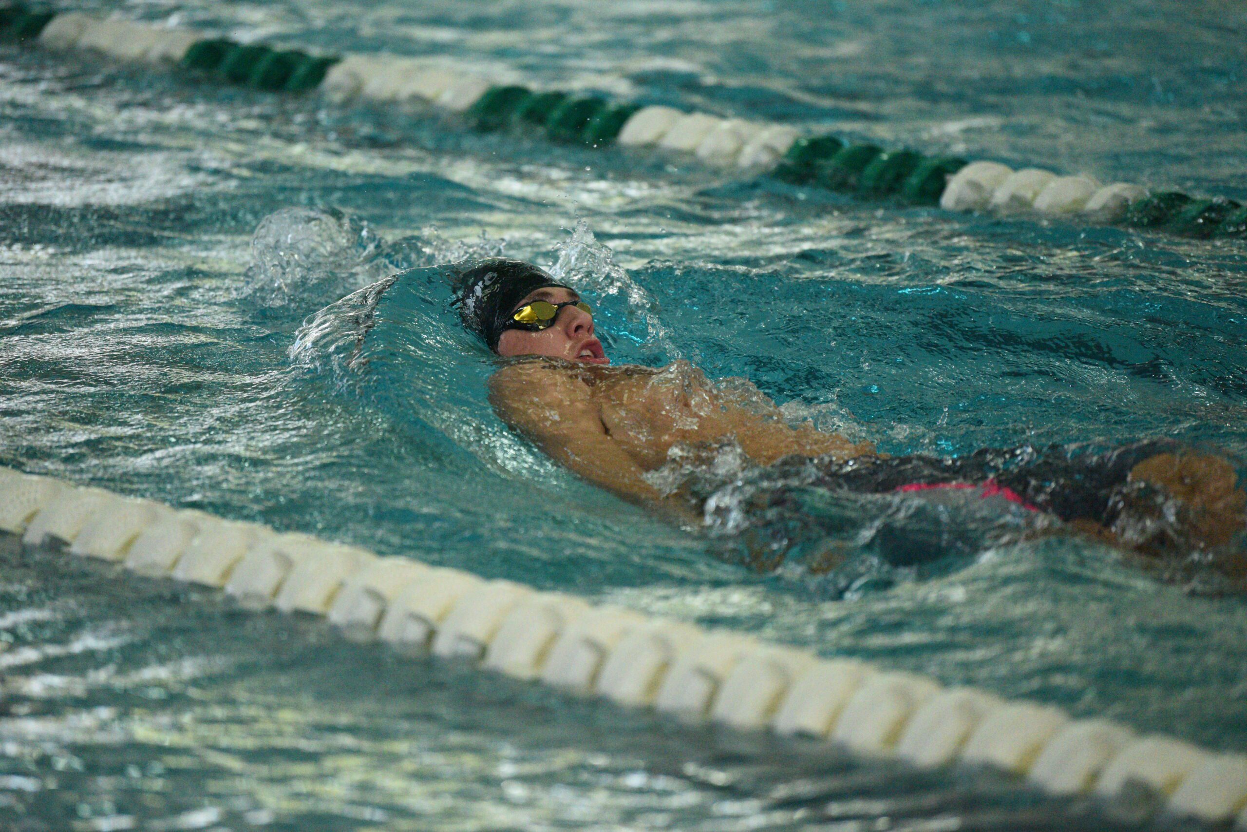 Lewis, Callen among Navarre swimmers earning regional berth | Navarre Press