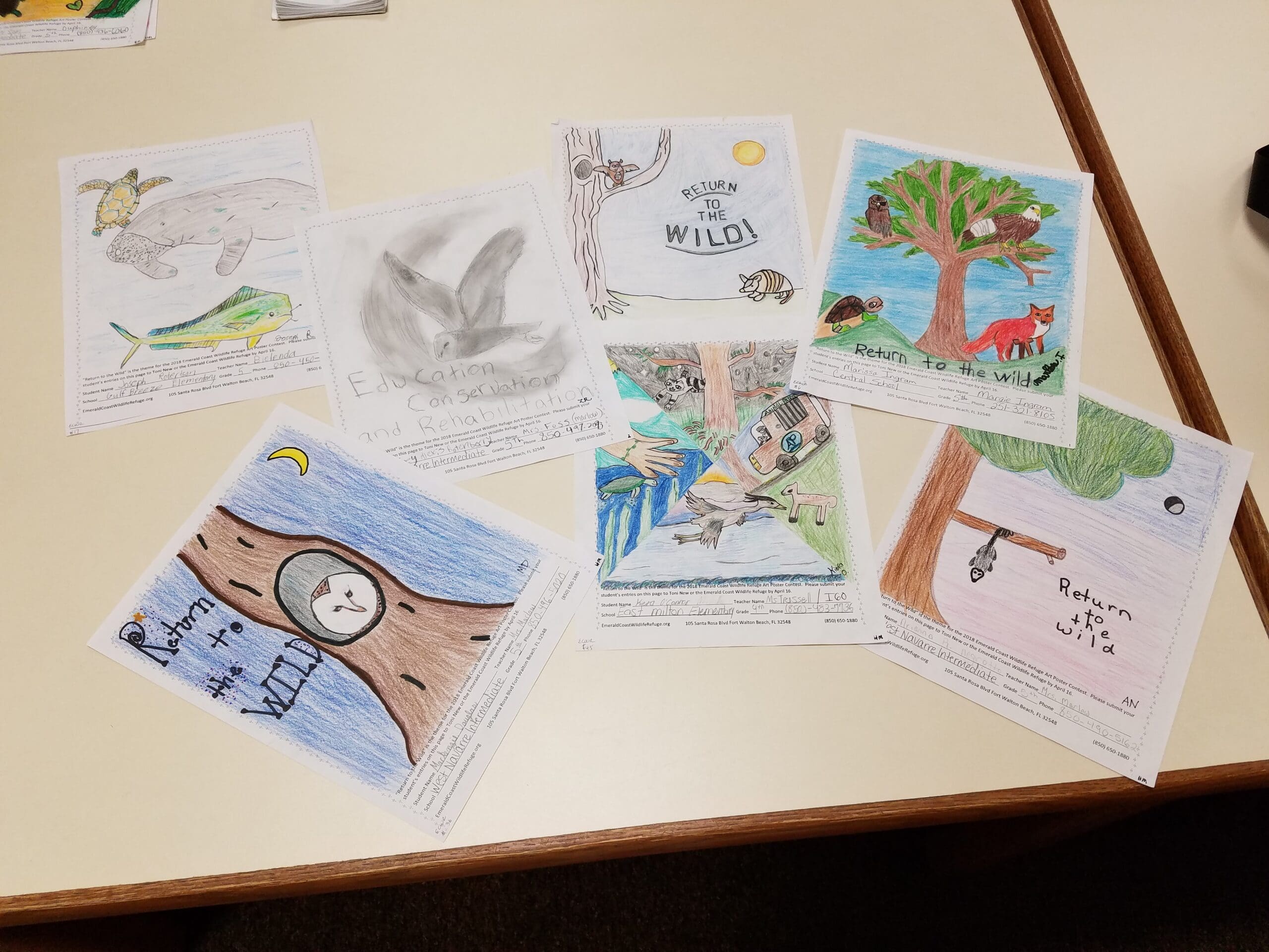 West Navarre students among wildlife poster winners | Navarre Press