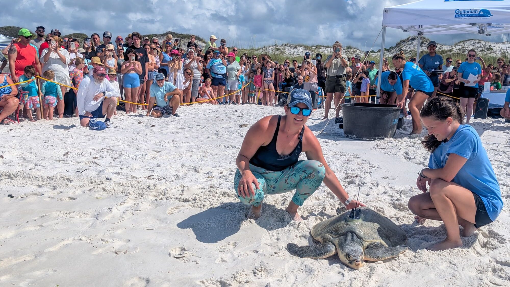 Eight sea turtles released from Gulfarium C.A.R.E. Center | Navarre Press