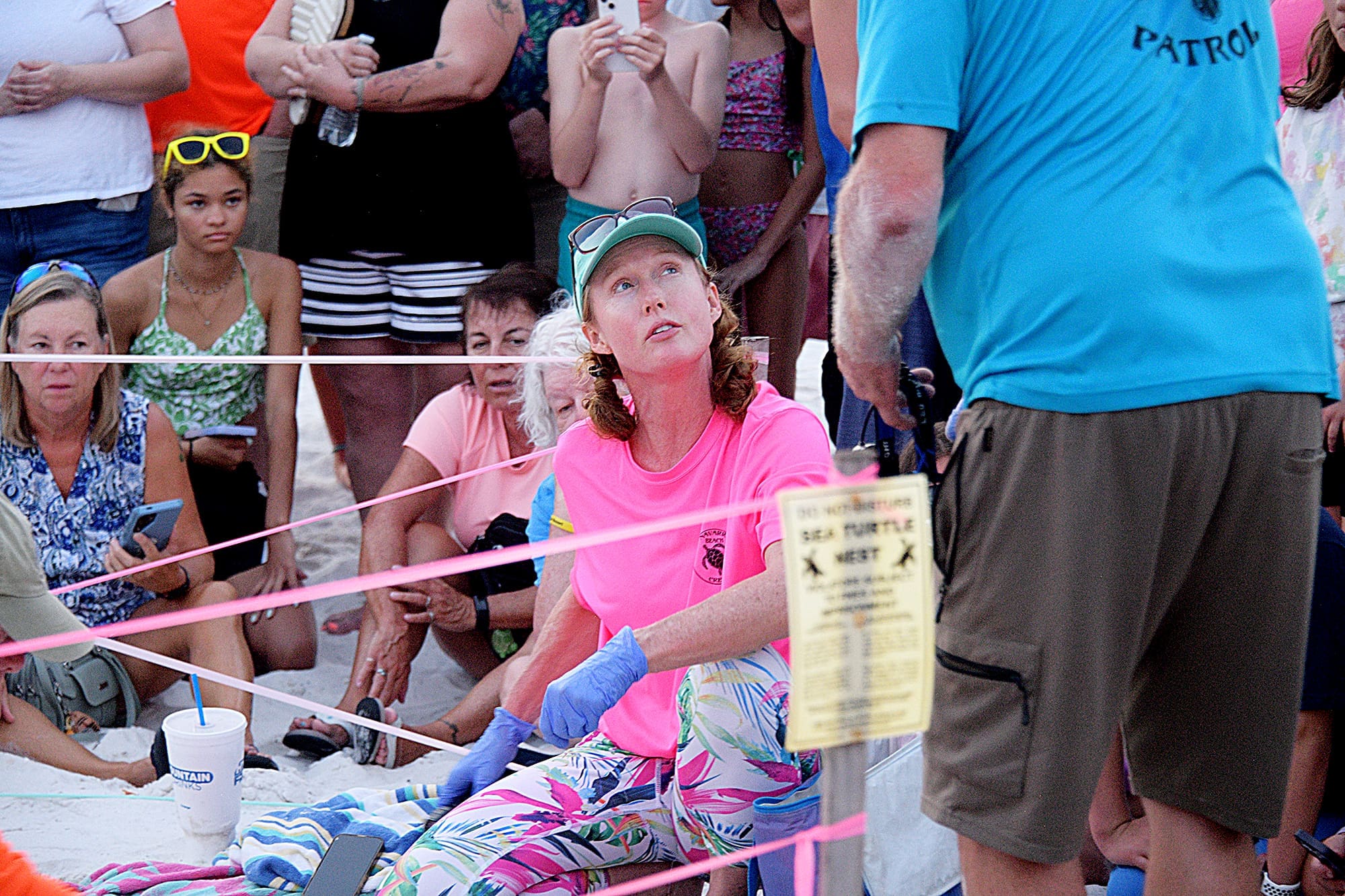 Navarre Beach sea turtle season begins | Navarre Press